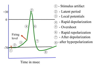 complete b pharm sem 2 action potential ppt | PPT
