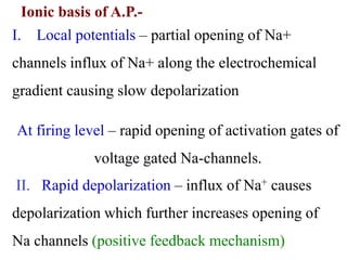 action_potential (1).ppt