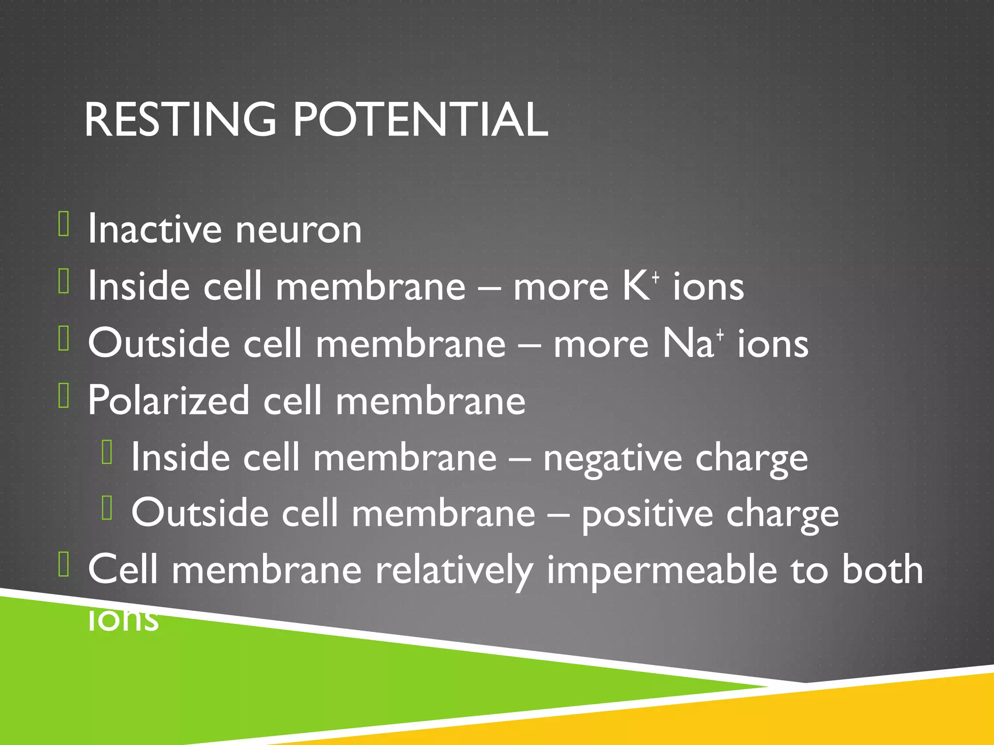 Action potential | PPT
