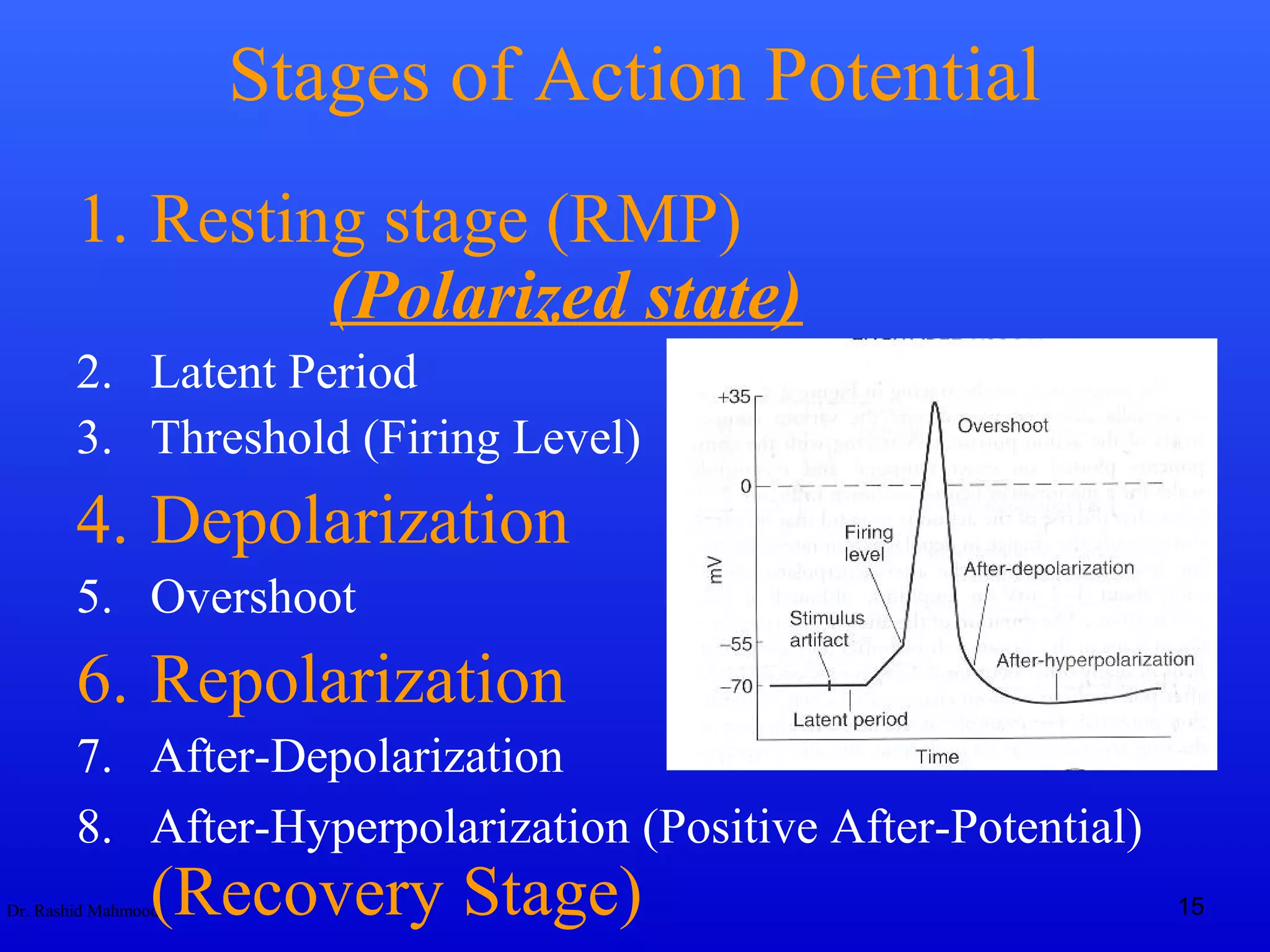 action potential 2.pdf