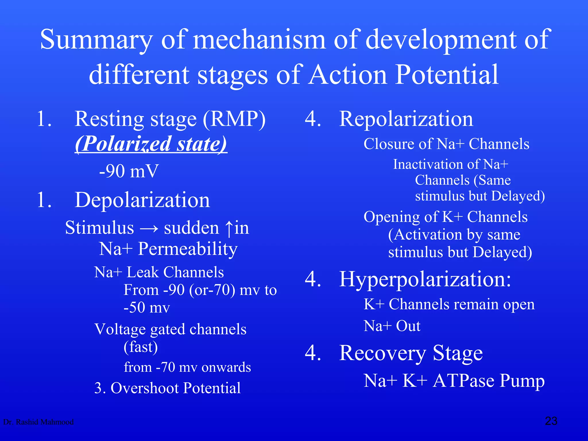 action potential 2.pdf