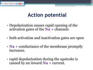 Action Potential.pptx