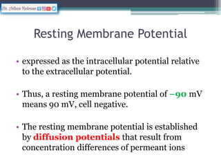 Action Potential.pptx
