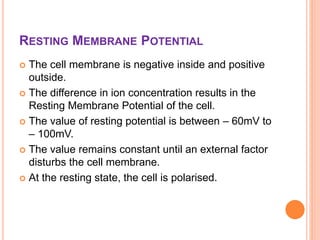 Action potential and resting potential | PPT