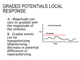 Action Potential Generation.ppt