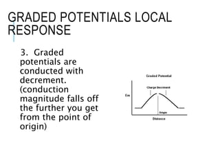 Action Potential Generation.ppt