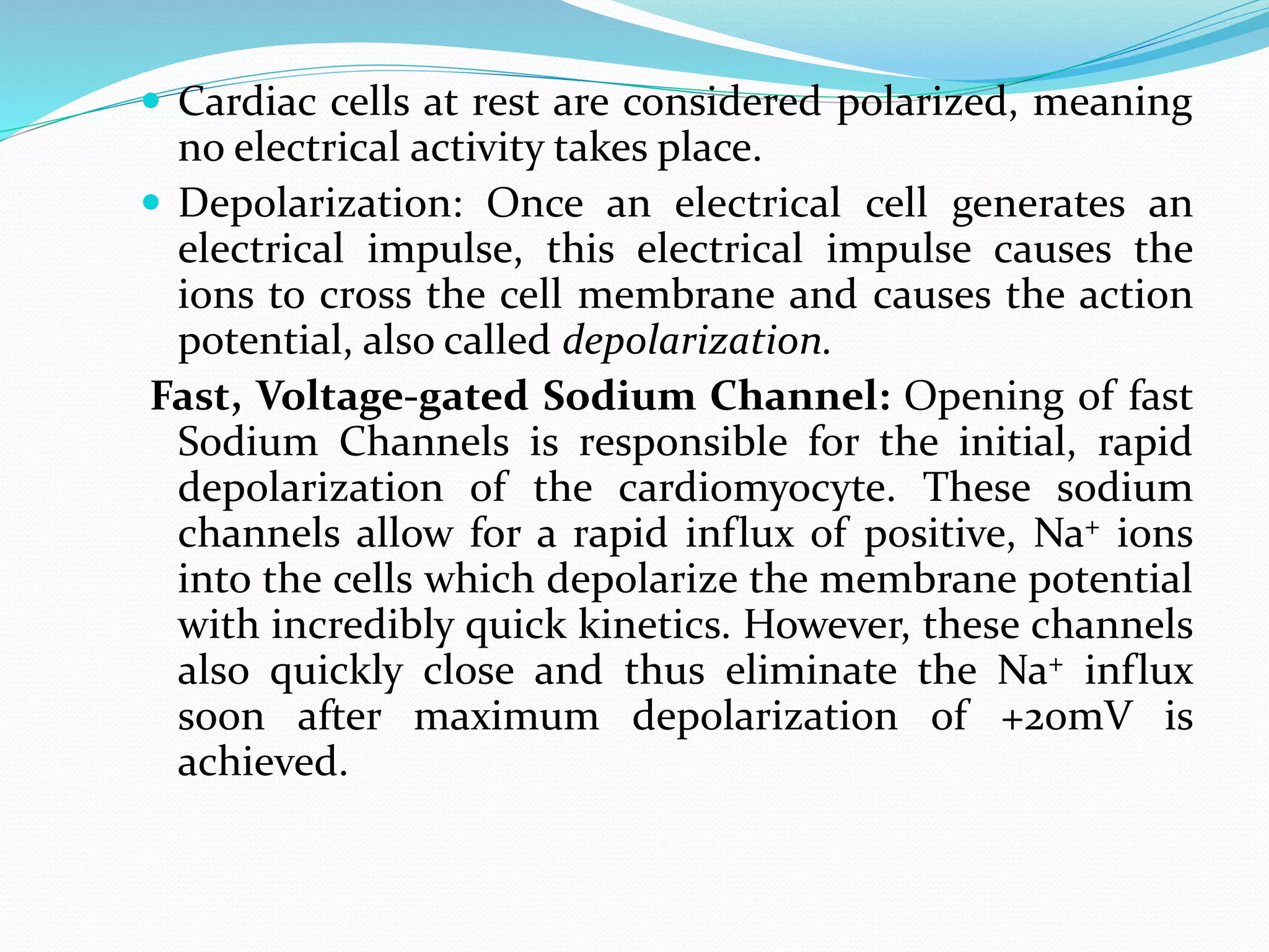 Action potential in cardiac cell | PPTX