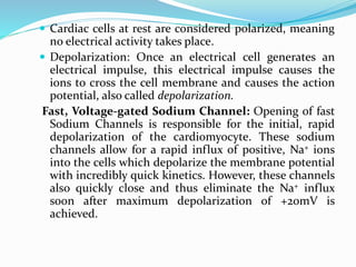 Action potential in cardiac cell | PPTX