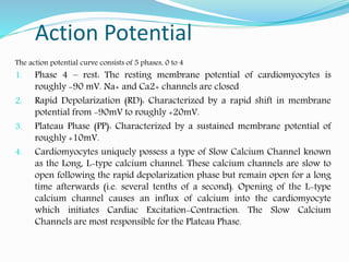 Action potential in cardiac cell | PPTX