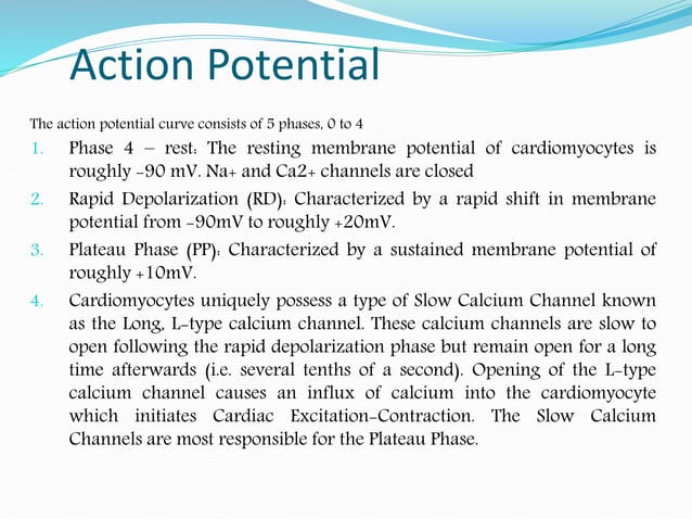 Action potential in cardiac cell | PPTX | Chemistry | Science