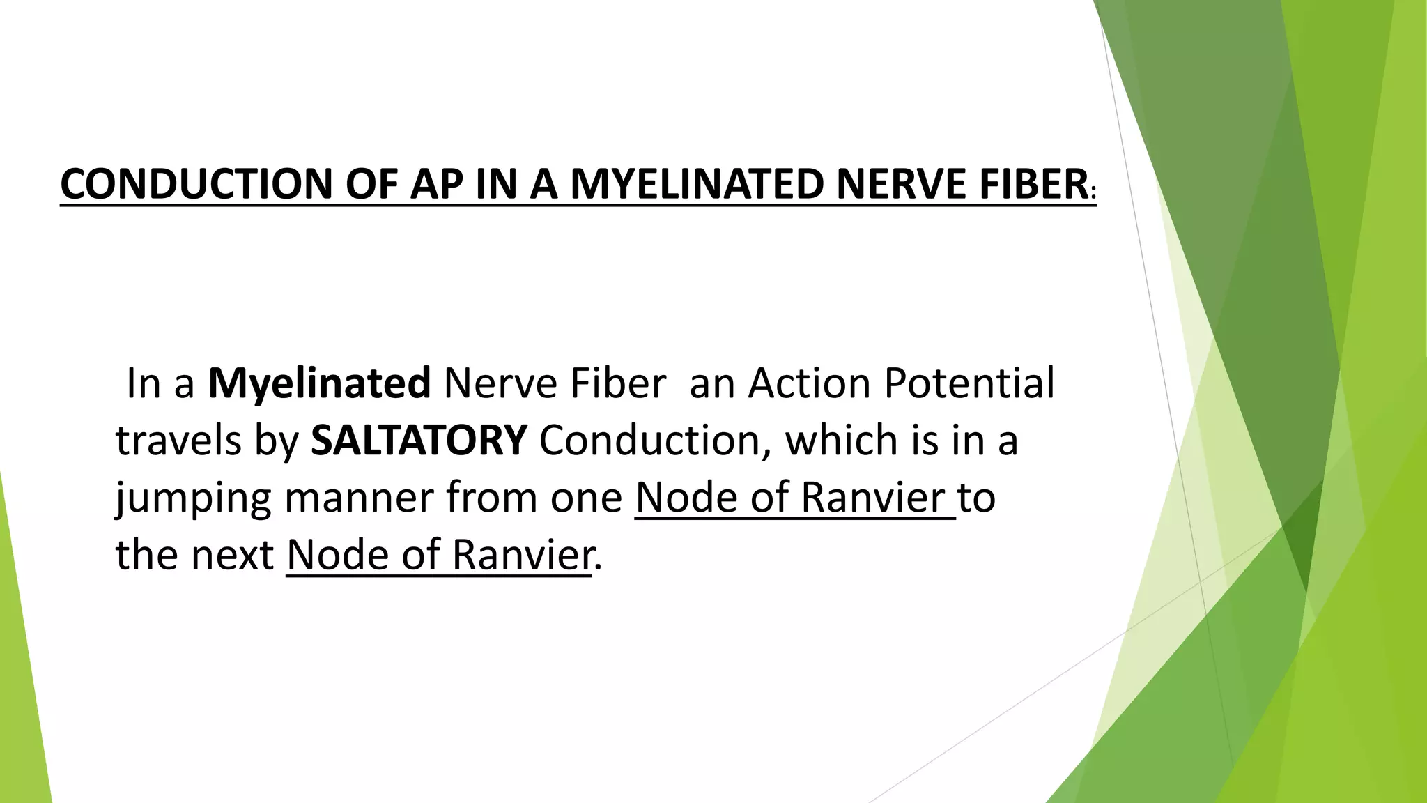 ACTION POTENTIAL IN NERVE.pptx