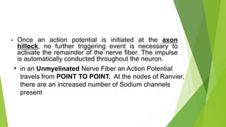 ACTION POTENTIAL IN NERVE.pptx | Brain and Nervous System Disorders ...
