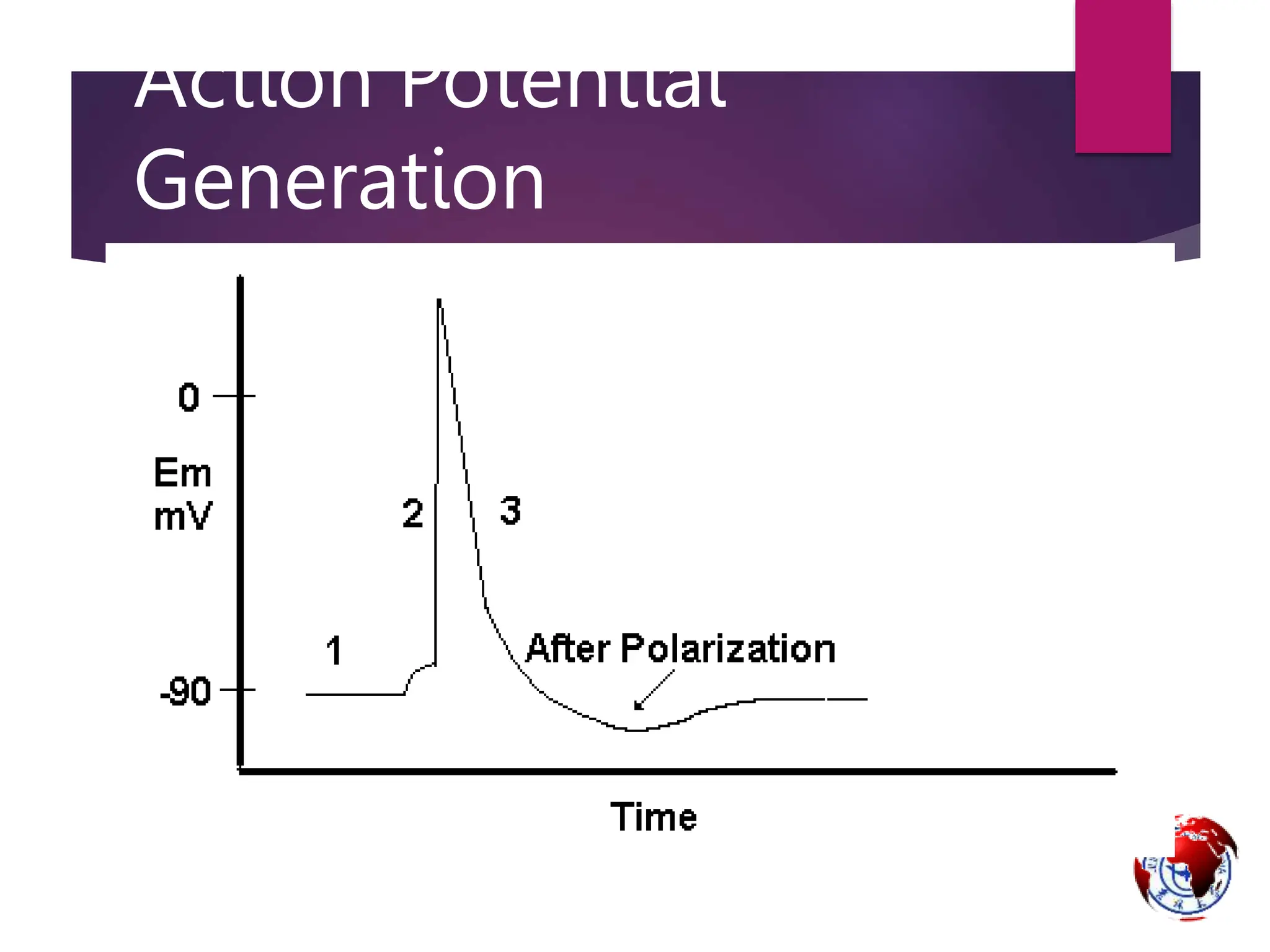 action potential nd hypoxia.ppt