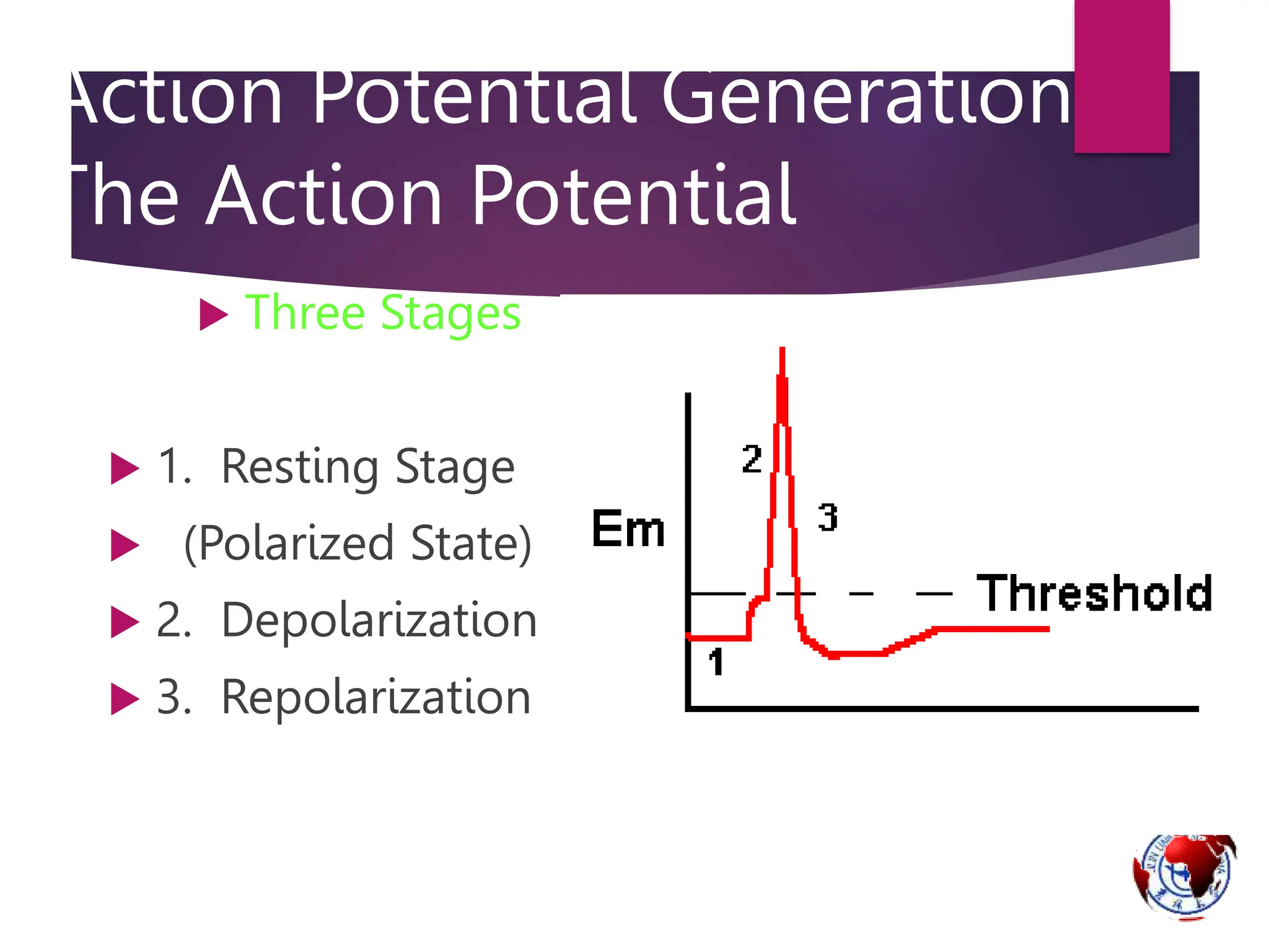action potential nd hypoxia.ppt