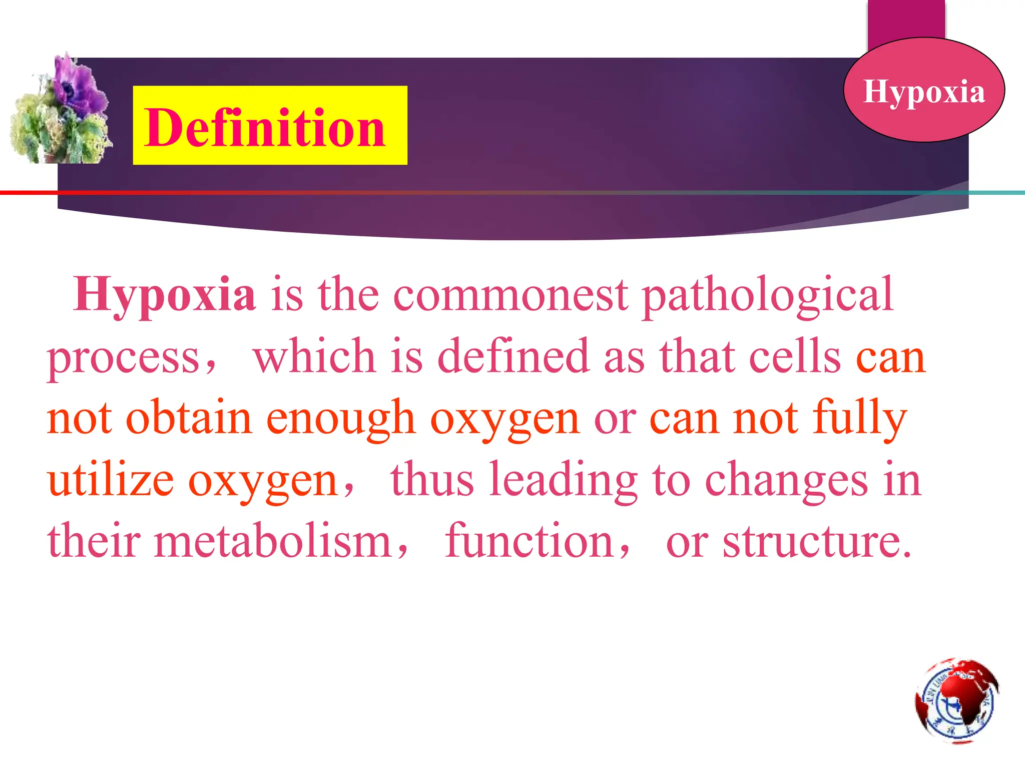 action potential nd hypoxia.ppt