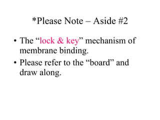 Action potential notes | PPT