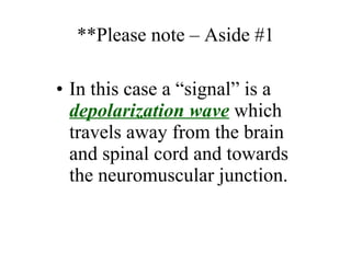Action potential notes | PPT