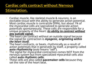 Comprehensive Overview of Cardiac Muscle Action Potentials and Auto ...