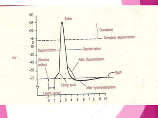 Depolarization Graph