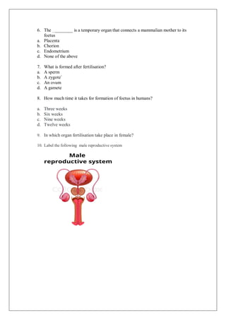 Action research sample | PDF