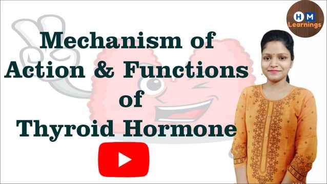 Mechanism of Action & Functions of Thyroid Hormone I Endocrine ...