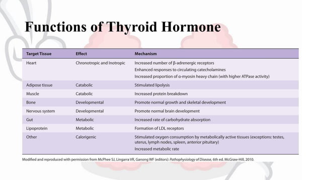 Mechanism of Action & Functions of Thyroid Hormone I Endocrine ...