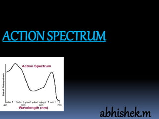 Action spectrum | PPTX