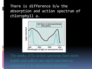 Action spectrum | PPTX