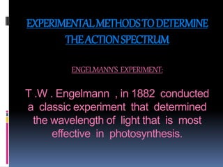 Action spectrum | PPTX