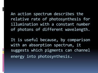 Action spectrum | PPTX