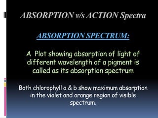 Action spectrum | PPTX