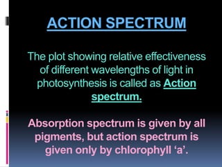 Action spectrum | PPTX