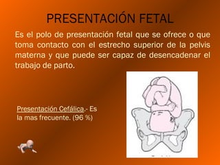 Actitud o habito fetal ii part_ok-1 | PPT