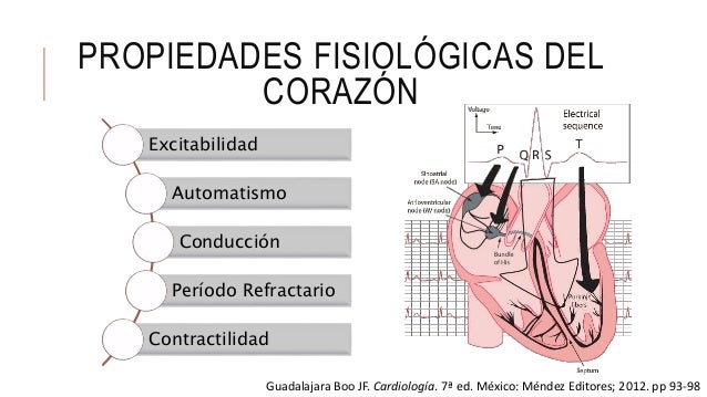 Activación eléctrica del corazón