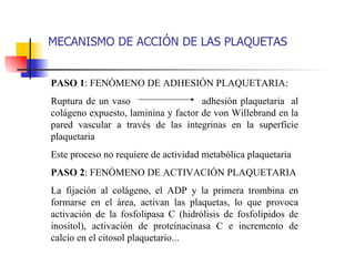 Activación plaquetaria | PPT