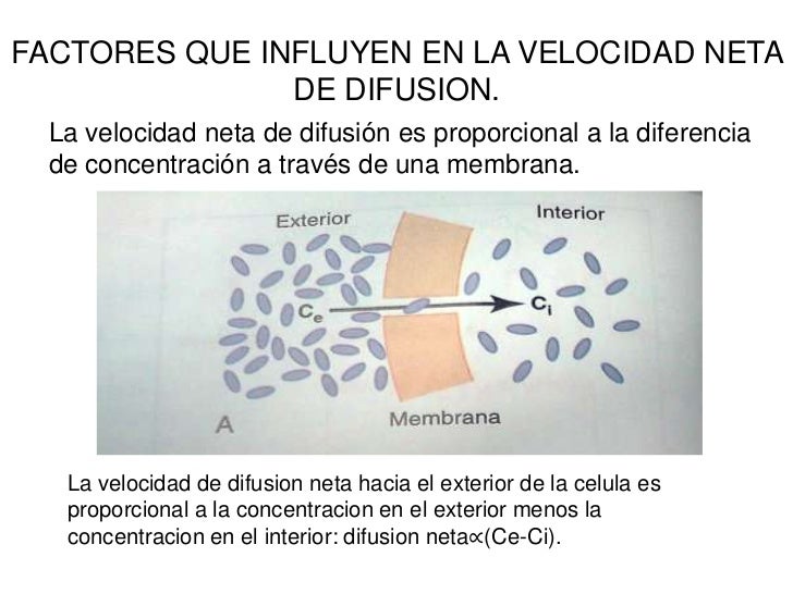 TRANSPORTE DE SUSTANCIAS A TRAVÉS DE LAS MEMBRANAS CELULARES – Karla Torres