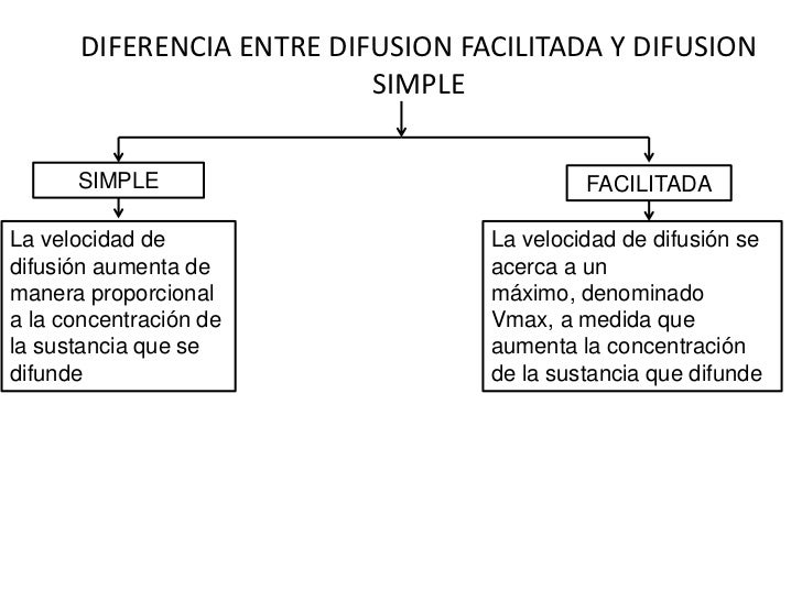 TRANSPORTE DE SUSTANCIAS A TRAVÉS DE LAS MEMBRANAS CELULARES – Rahel's ...
