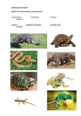 Reptile Animals Names