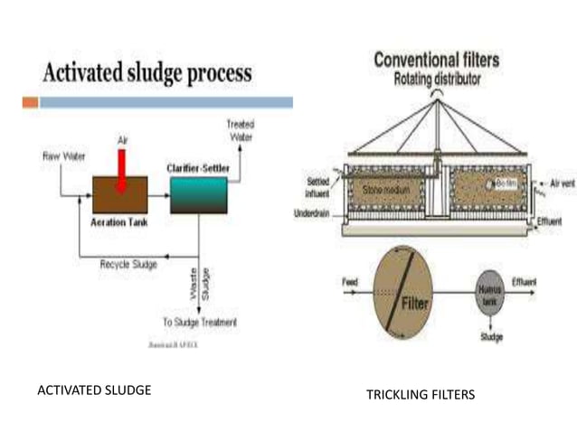 Activated sludge | PPT