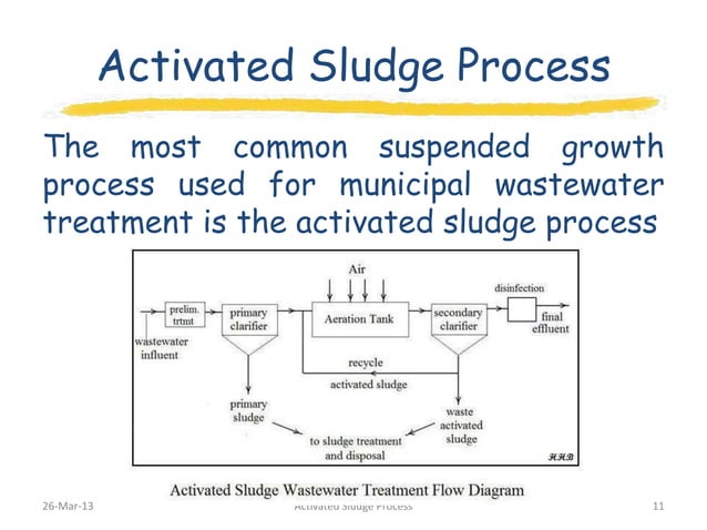 Activated Sludge Process | PPTX | Chemistry | Science