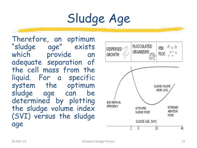 Activated Sludge Process | PPTX | Chemistry | Science