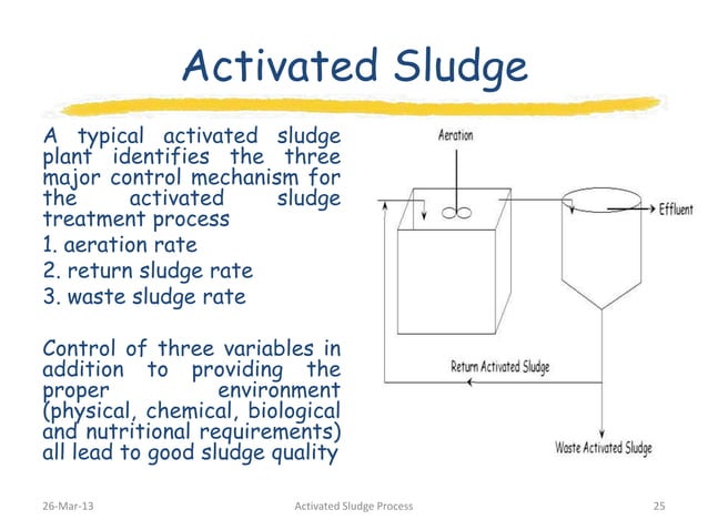 Activated Sludge Process | PPTX | Chemistry | Science