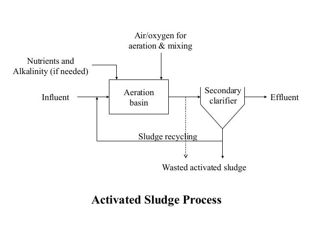 Activated sludge process
