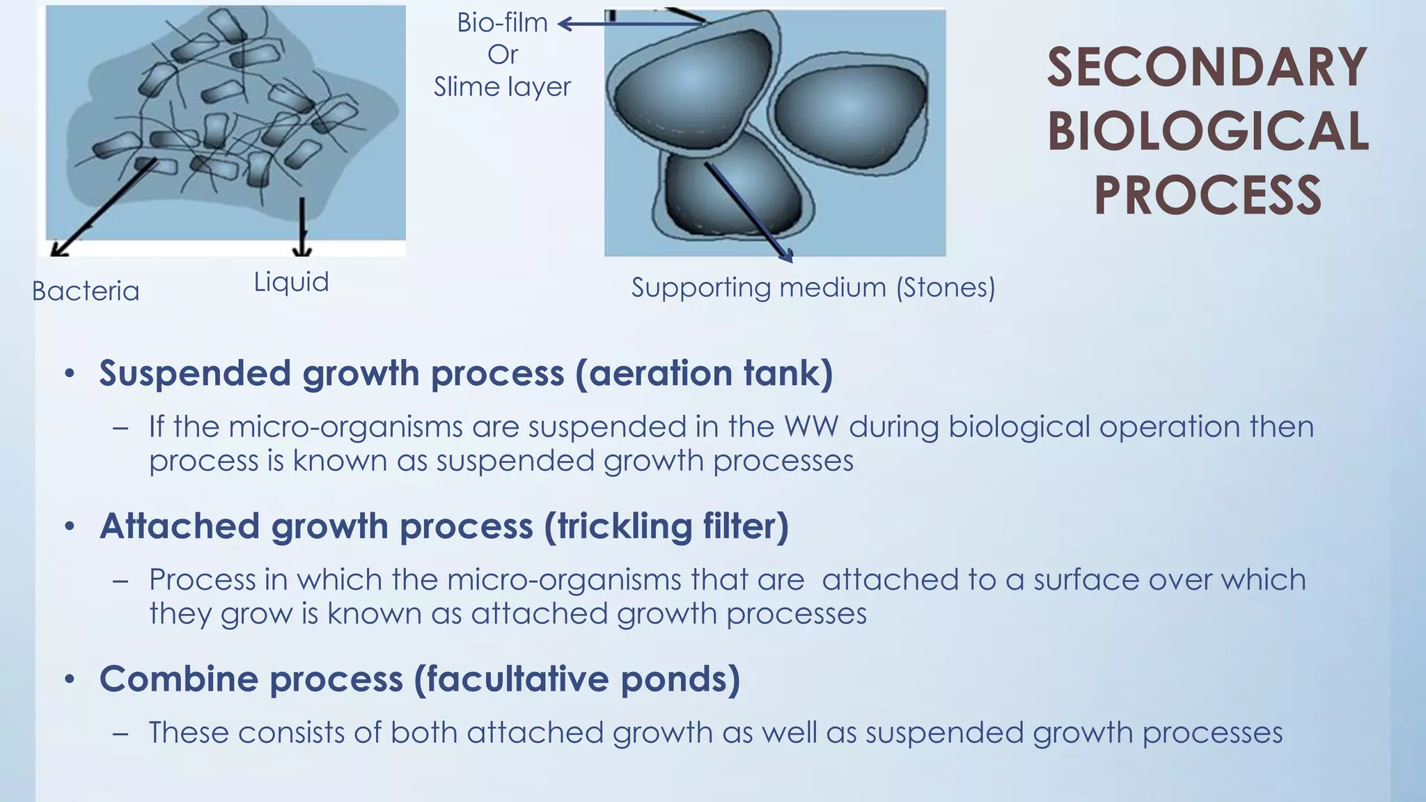 Activated sludge process | PDF