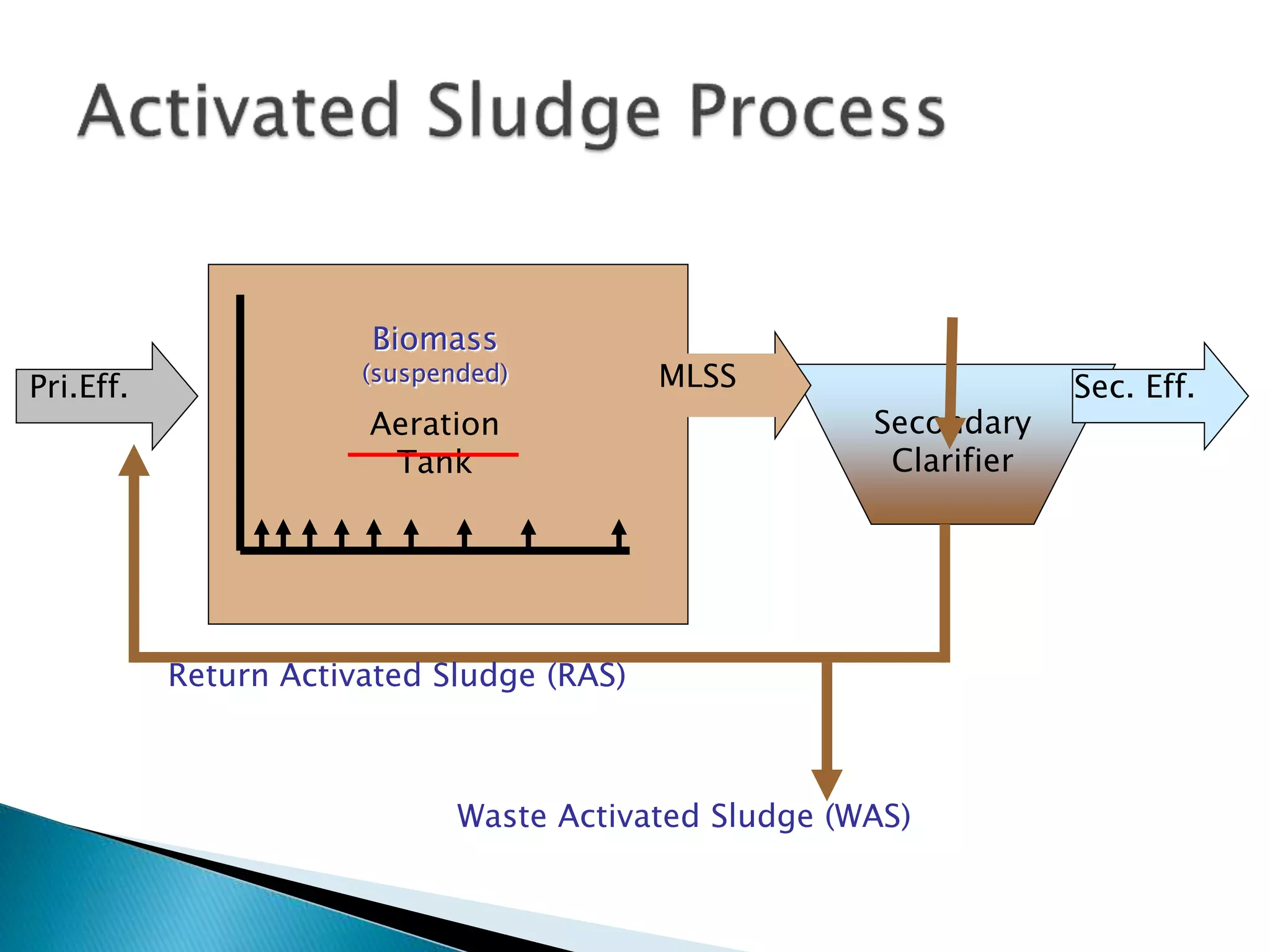 Biological Treatment of Wastewater by Activated Sludge Process | PPTX