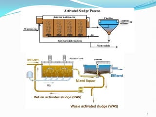 activated sludge process. sanitary engineering | PPT