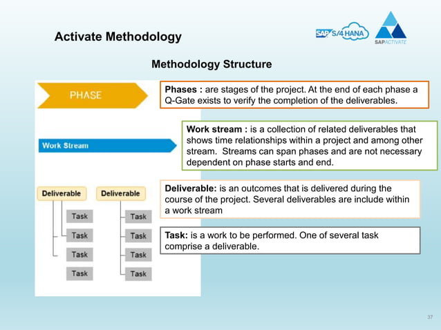 Activate Methodology | PPT | Operating Systems | Computer Software and Applications