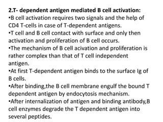 Activation and proliferating of B cell.pptx | Genetics | Science