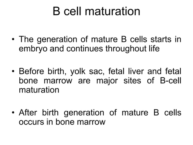 Activation of B Cells.ppt
