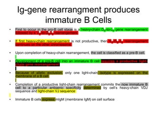 Activation of B Cells.ppt